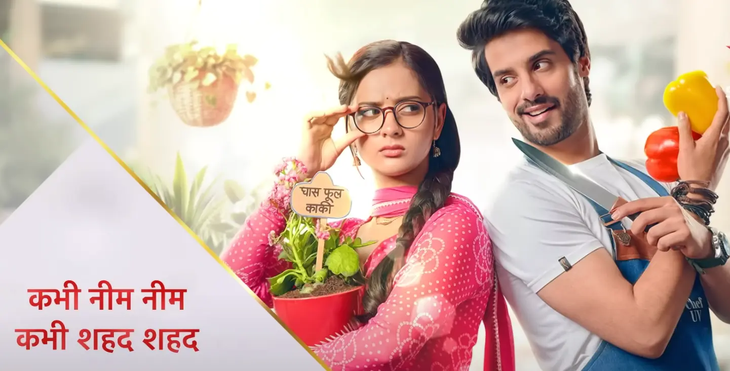 Ideal Son-in-Law on ZeeWorld: Full Story Plot Summary Cast & Teasers ...
